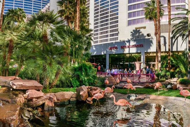Aktivitas Terbaik Las Vegas Yang Bisa Kamu Nikmati Part 2 Chakrirsogbad Aktivitas Terbaik Las Vegas Yang Bisa Kamu Nikmati Part 2 Chakrirsogbad